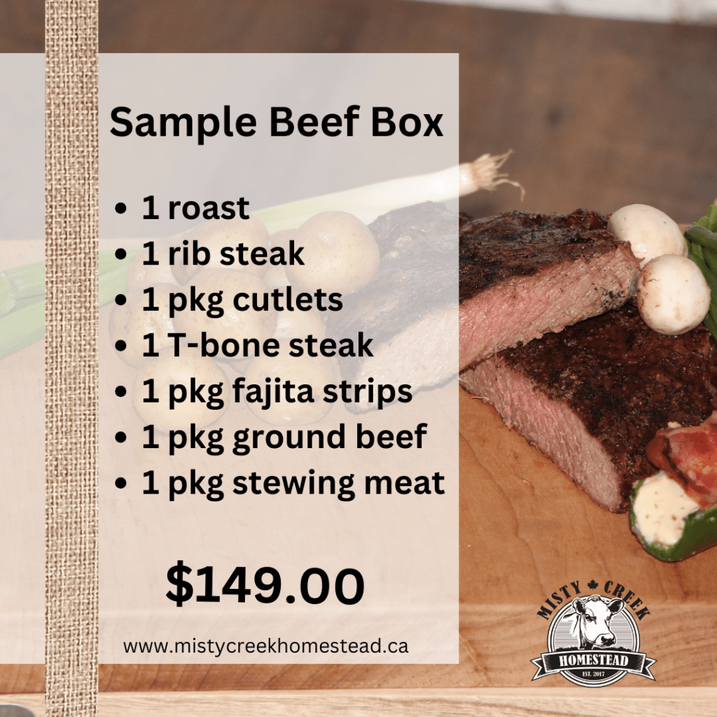Ranchers Sample Beef Box | Misty Creek Homestead